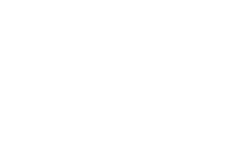 SAP Solutions Provider | Public Sector | LSI